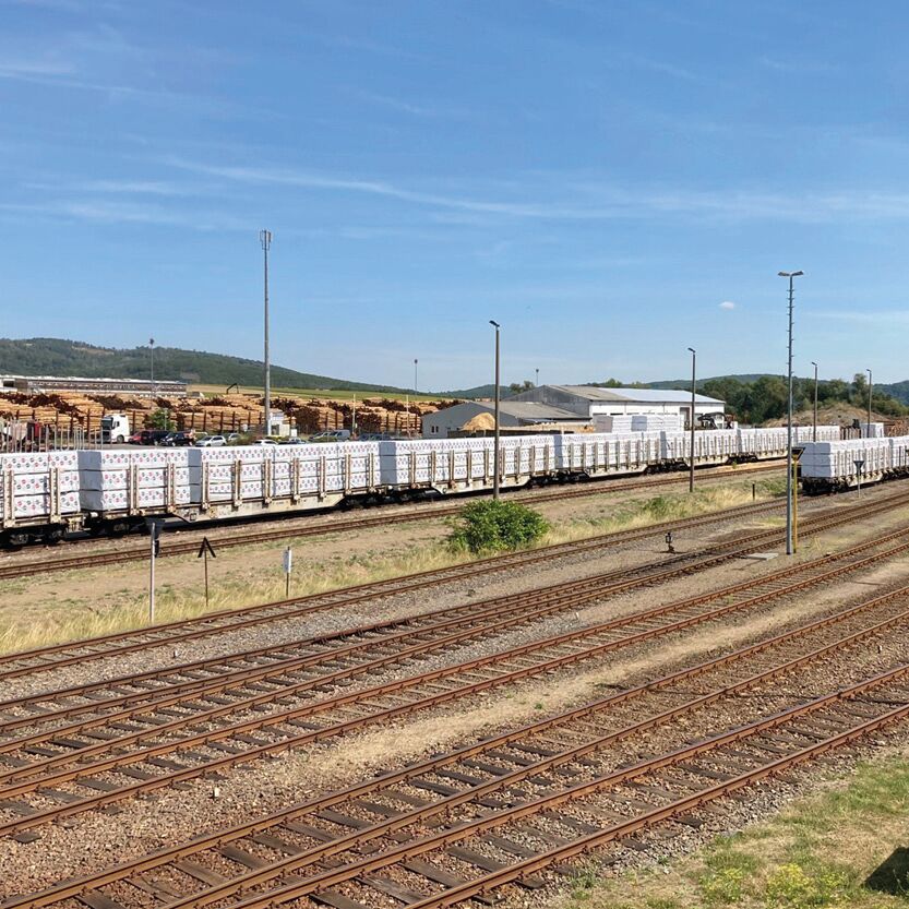 Ante Holz - Aktuelle Neuigkeiten von Ante Holz