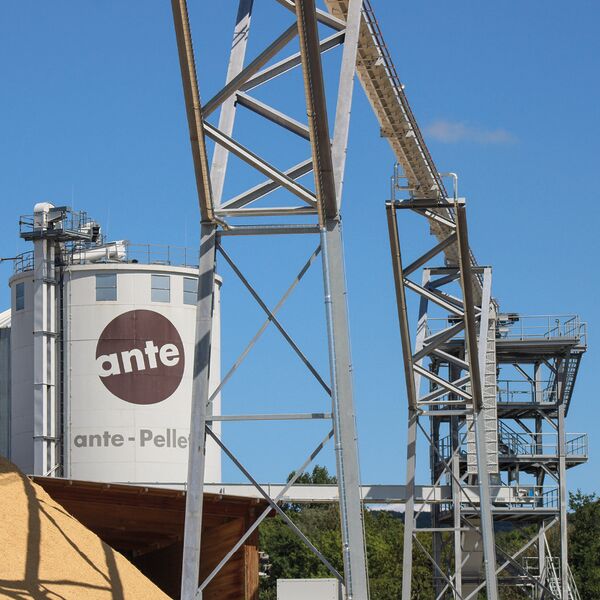 Ante Holz - Aktuelle Neuigkeiten von Ante Holz